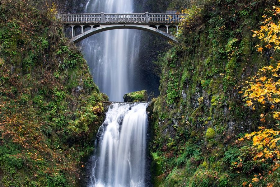 Multnomah Falls Loop | Embark.org