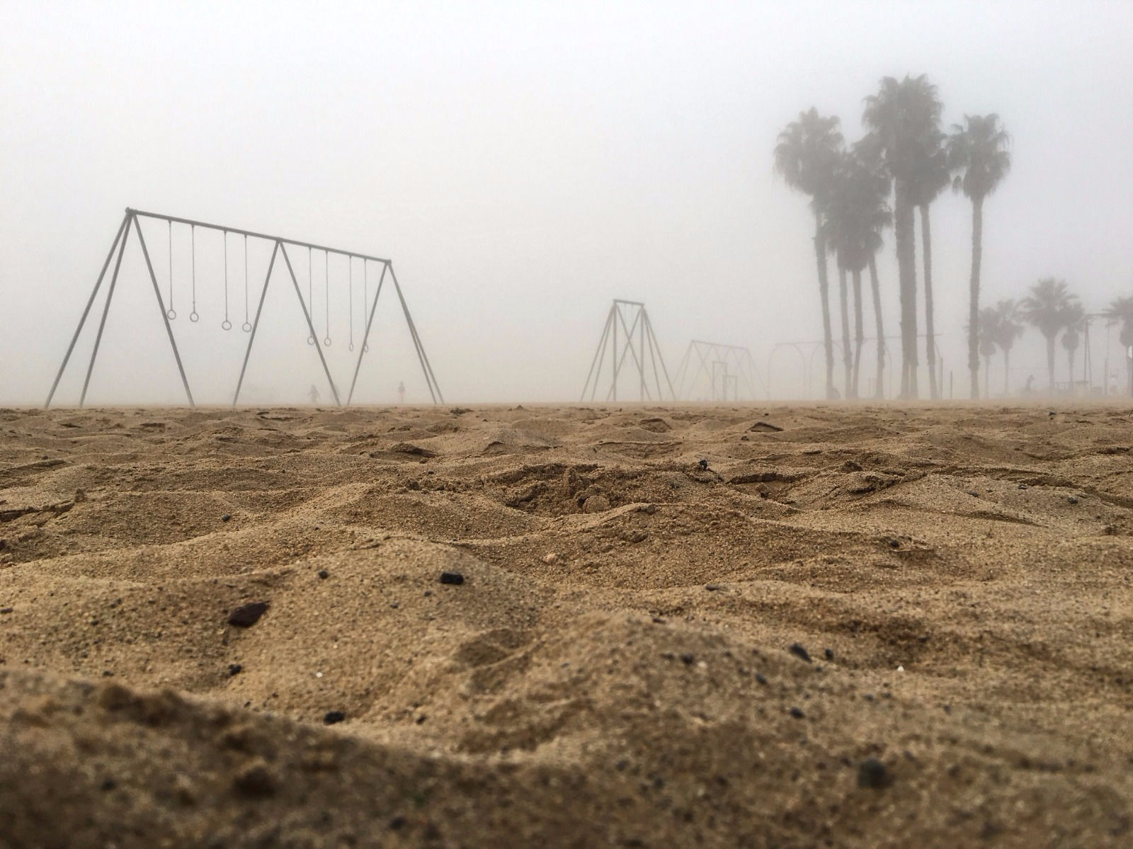 Swing like tarzan in the morning fog | Embark.org