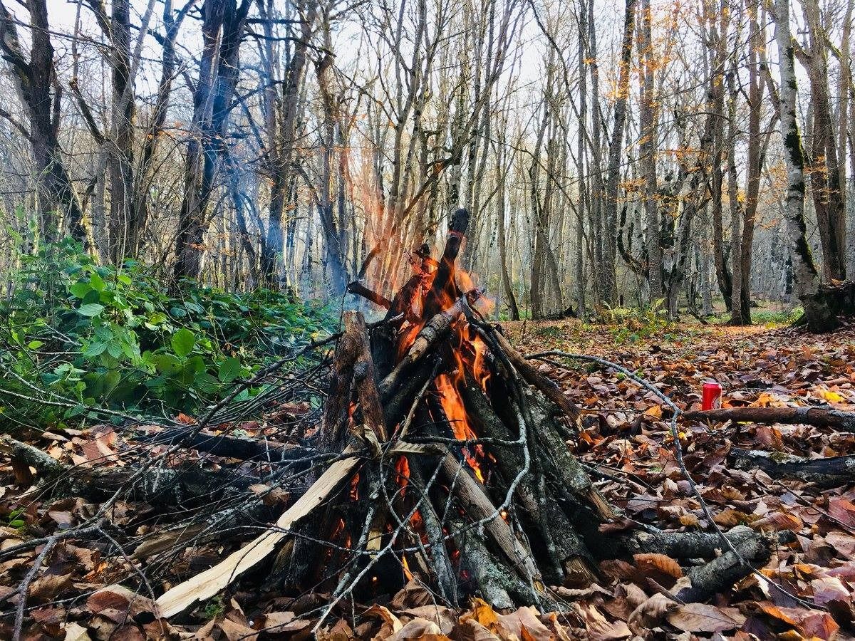 Picnic at Sabaduri Forest (Tbilisi National Park) | Embark.org